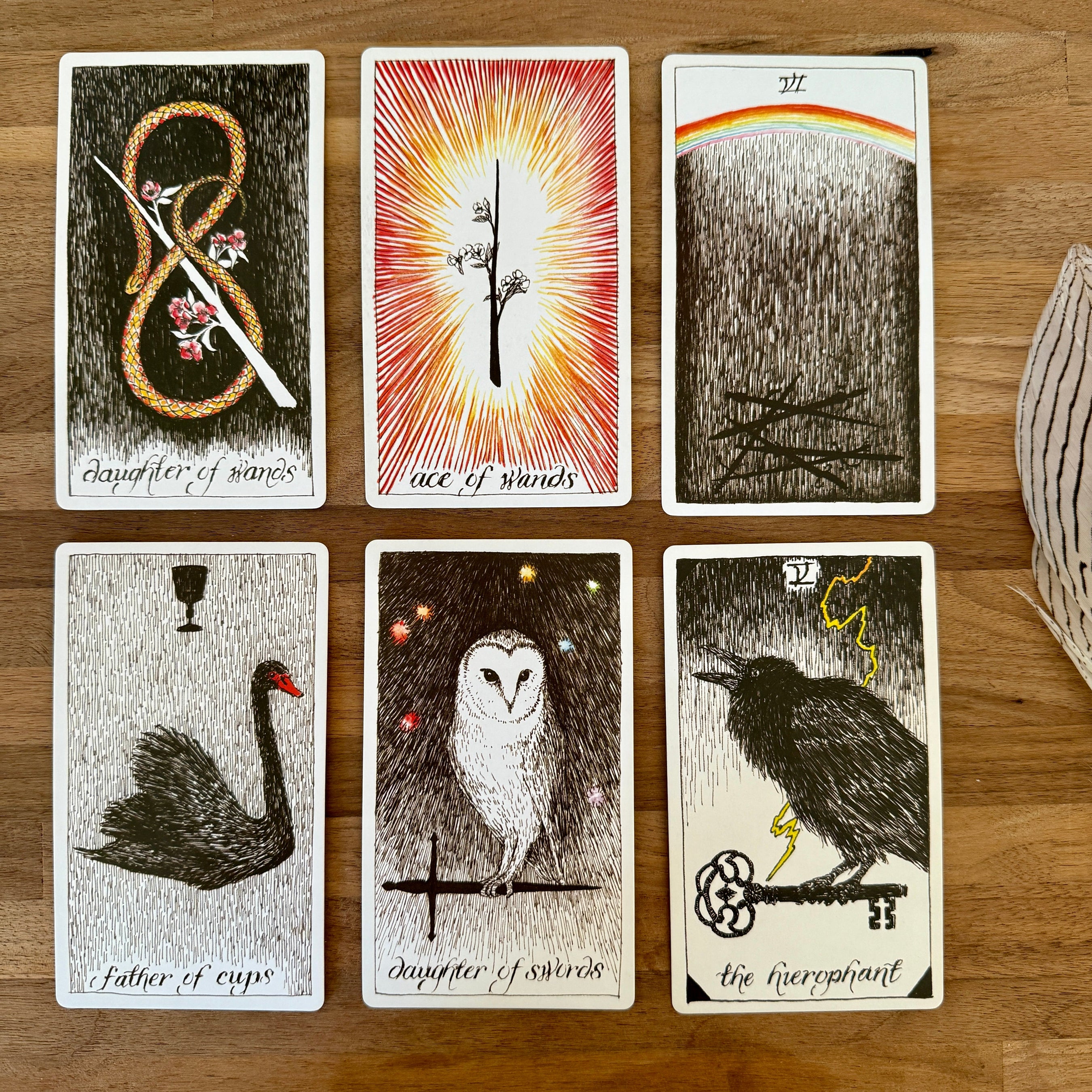 The Wild Unknown Tarot Deck & Guidebook | Confía Collective
